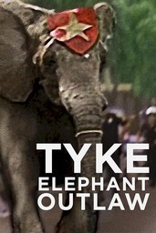 Tyke Elephant Outlaw (Serie)